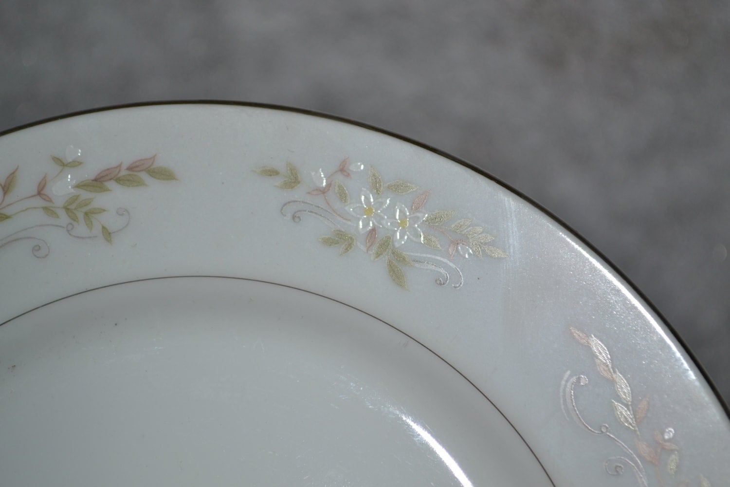 International Silver Co. / China / Springtime pattern / 326