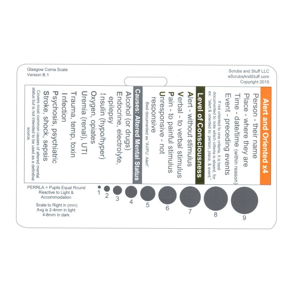 Glasgow Coma Scale Badge Card Horizontal Accessory for Nurse