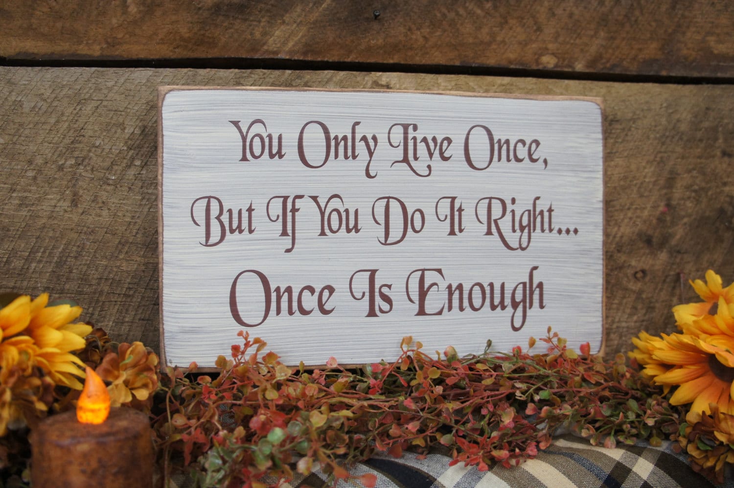 You Only Live Once But If you Do It Right Once is Enough