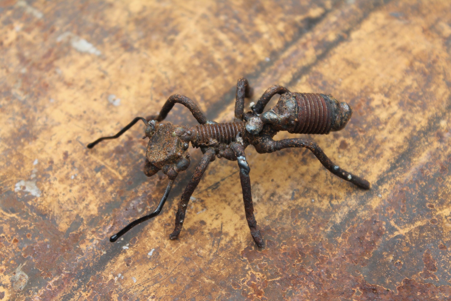Small Scrap Metal Ant 3 Insect Sculpture Common Red