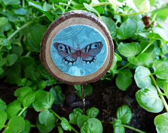 Mini stepping stones | Etsy