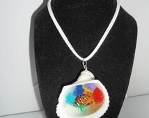 Unique mini sea shells related items | Etsy