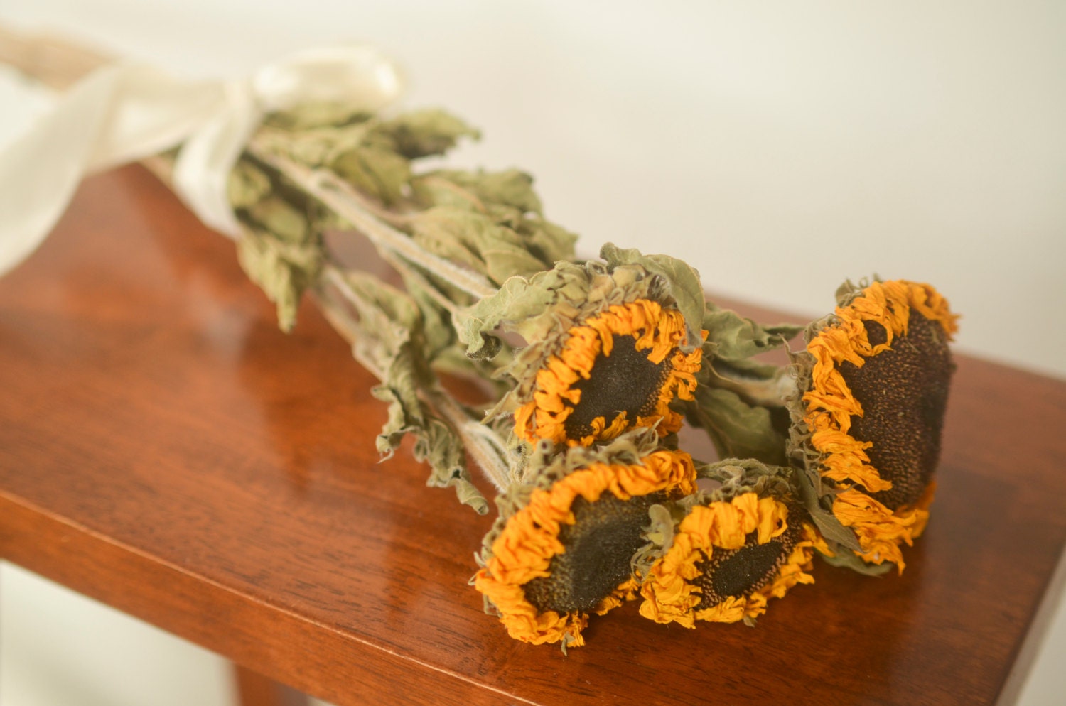 Dried Sunflowers dried sunflower sunflower dried sunflower