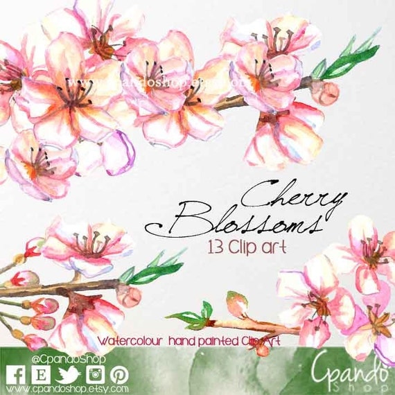 Cherry Blossom Clip Art Pink Cherry Blossoms Clipart by CpandoShop