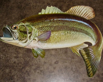 Vintage WEBER Fly Fishing Lure Fly Box / Case by downthepipelines