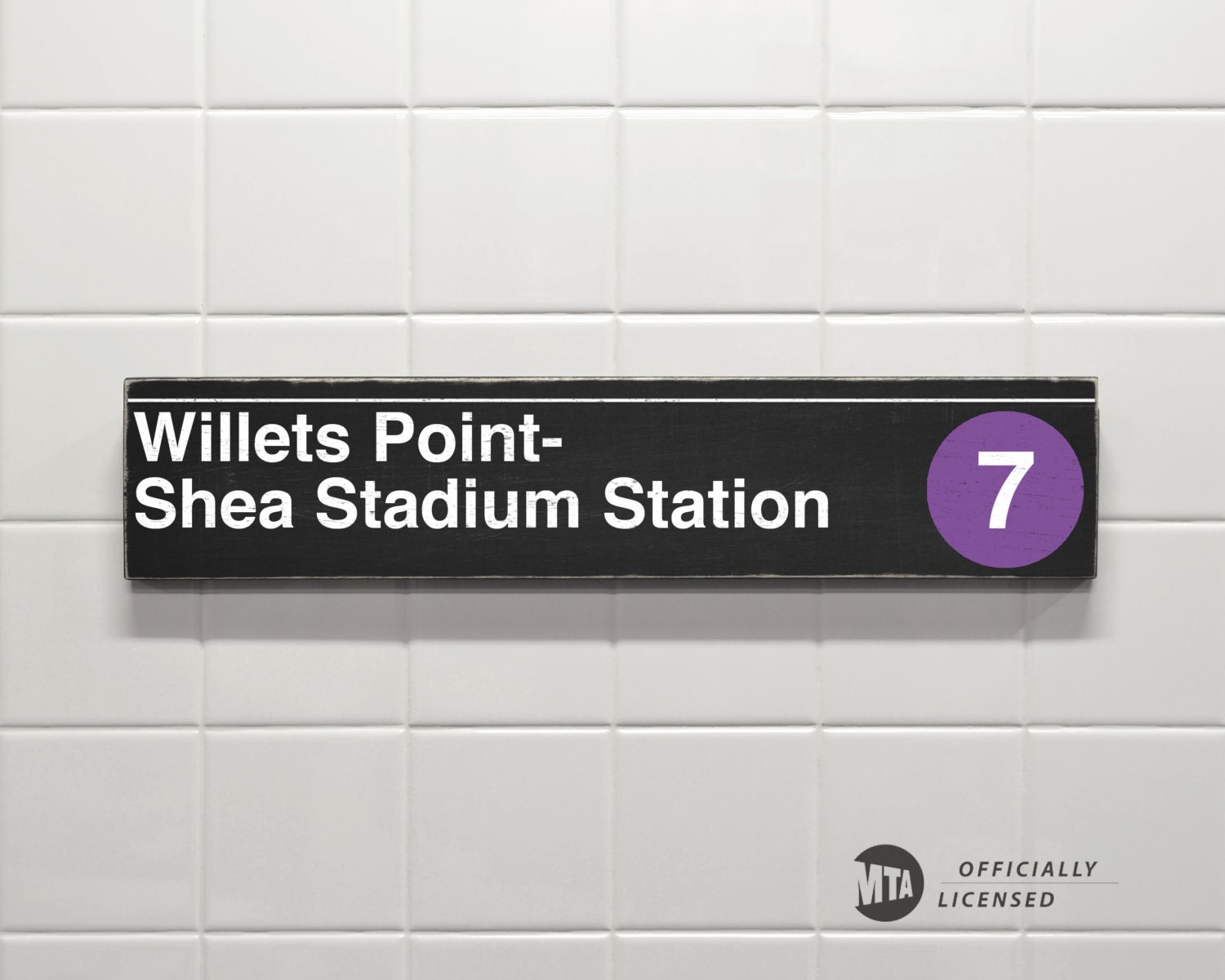 Willets Point Shea Stadium Station New York City Subway