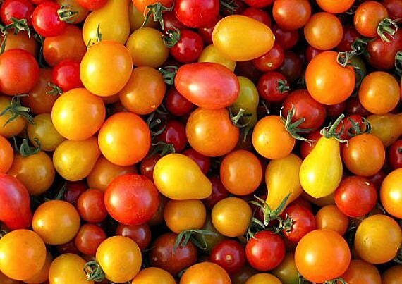 Rainbow Cherry Tomato Collection five tasty by SmartSeeds on Etsy