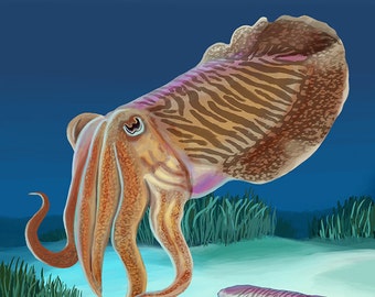 Cuttlefish print | Etsy