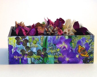 Orchid planters | Etsy