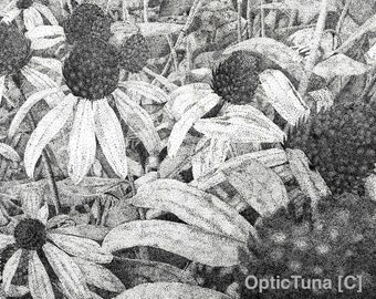 Items similar to Original Pen & Ink Art - Horse Fly (Bug) Illustration ...