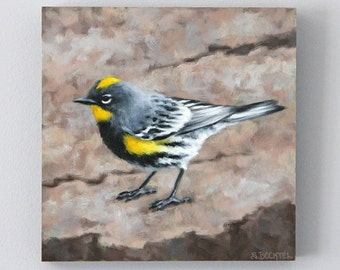 Original Paintings and Drawings by SarahBecktelFineArt on Etsy