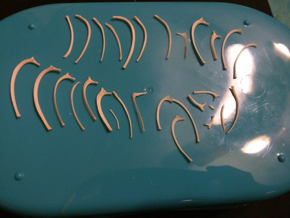 Pack of 10 rabbit ribs