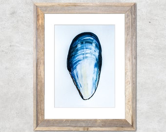 Mussel shells | Etsy