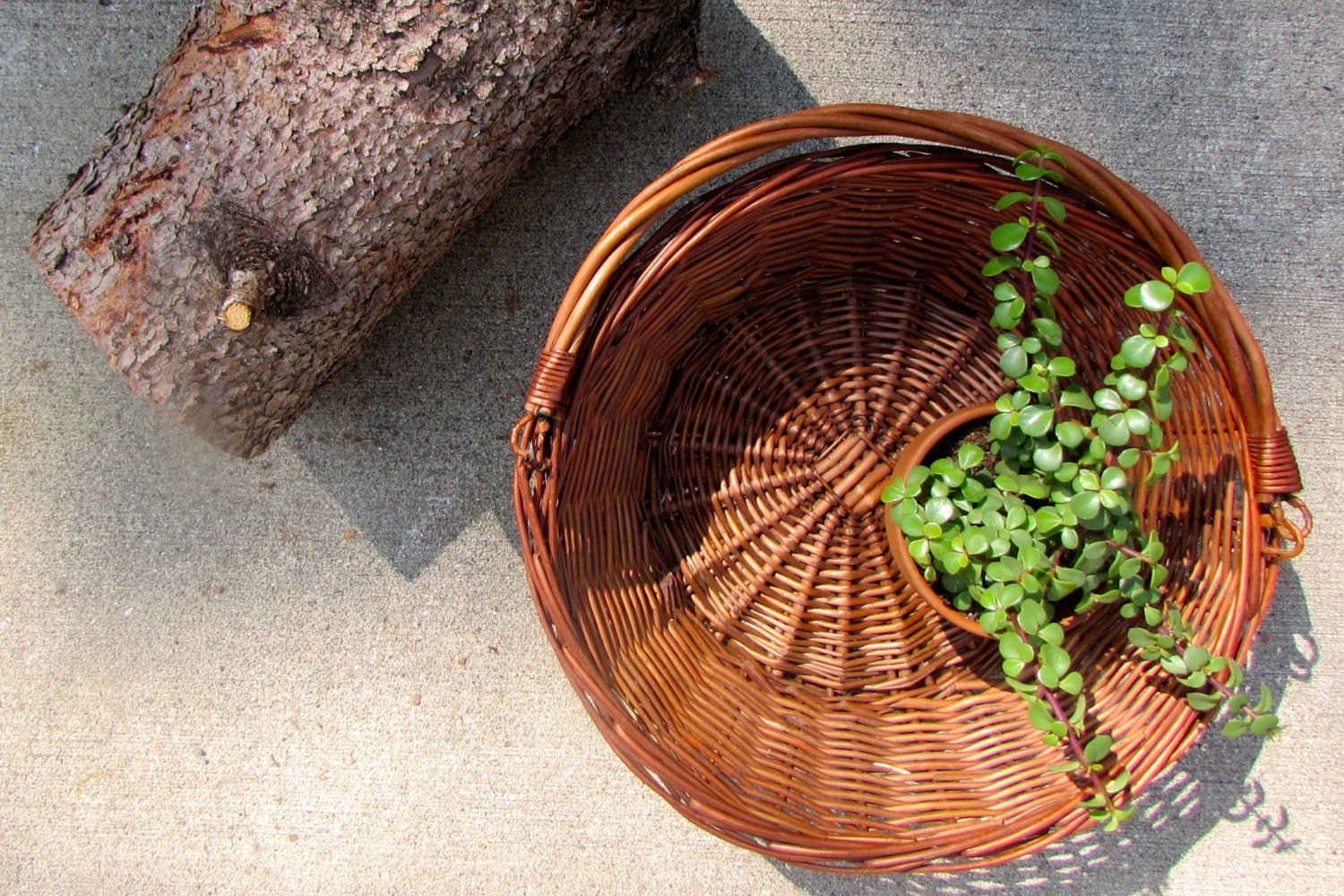 Rustic Wicker Basket – Haute Juice