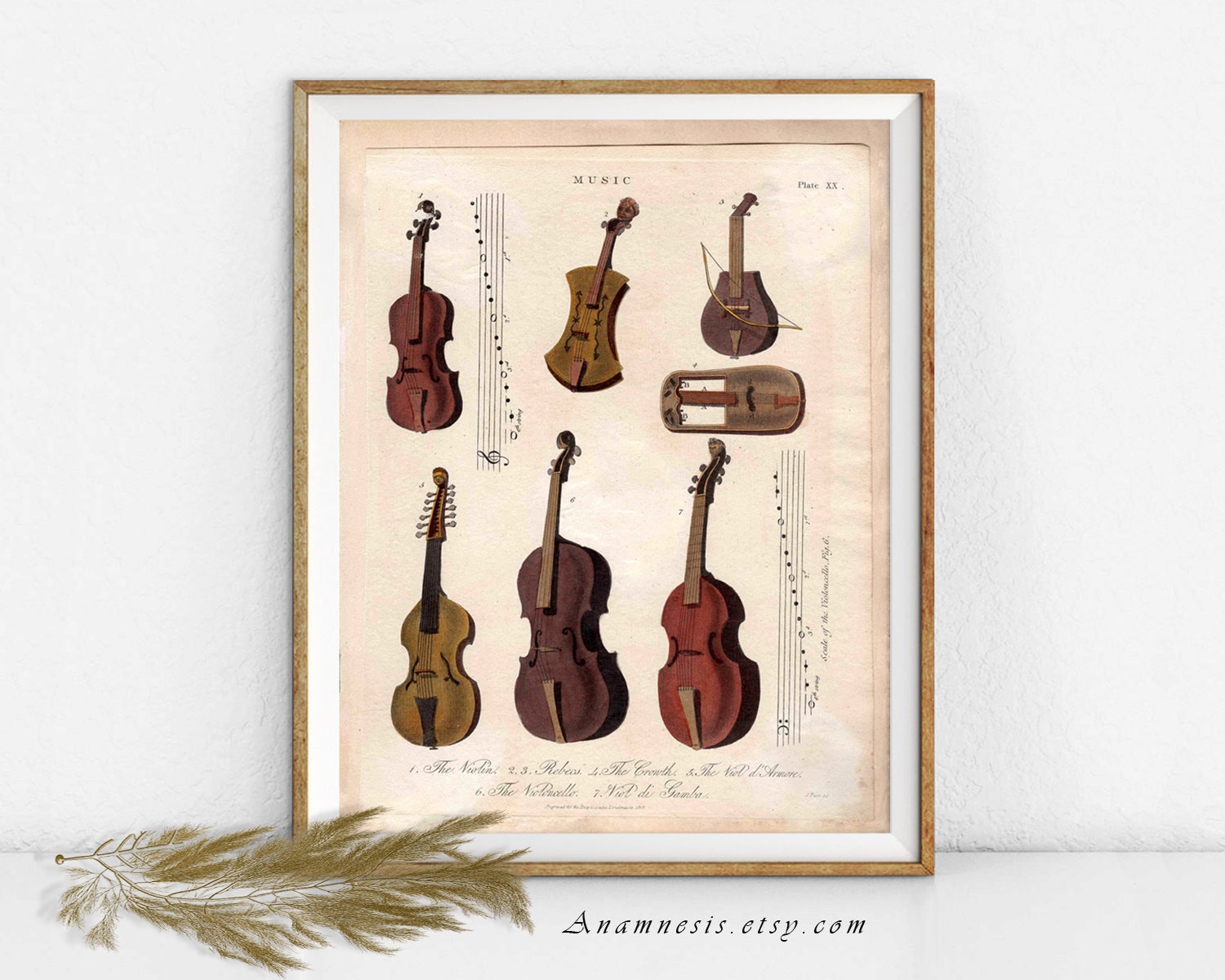 STRINGED MUSICAL INSTRUMENT Collage digital download