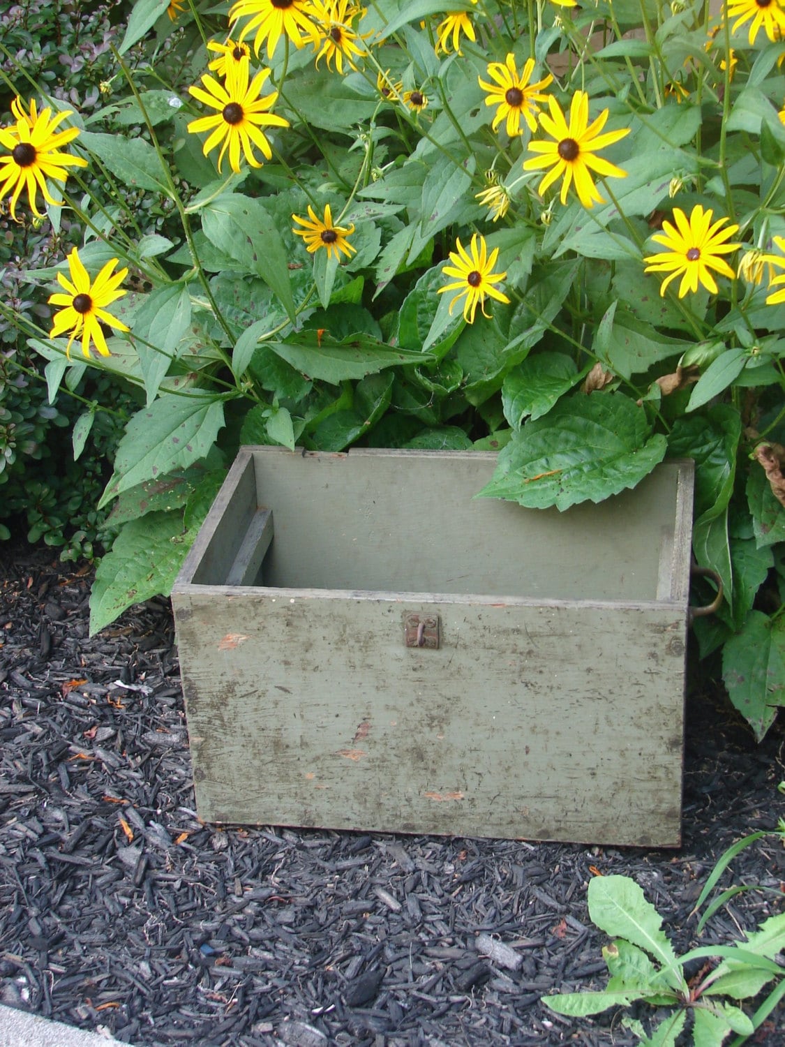Awesome Vintage Sage Green Wooden Utility Box – Haute Juice