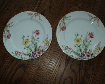 Springfield china | Etsy