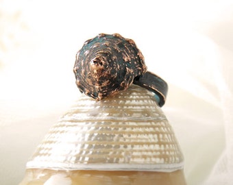 Sea shell ring | Etsy