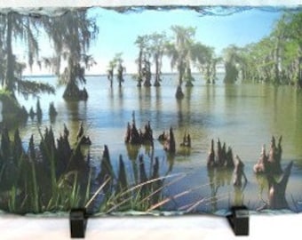 Bayou decor | Etsy