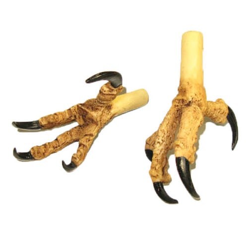 Eagle Skull & Eagle Foot Claws Talon Resin Educational Crafts Replica ...