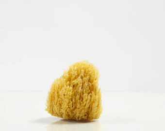 My Ocean we make handmade soaps candles and by MyOceanBahamas