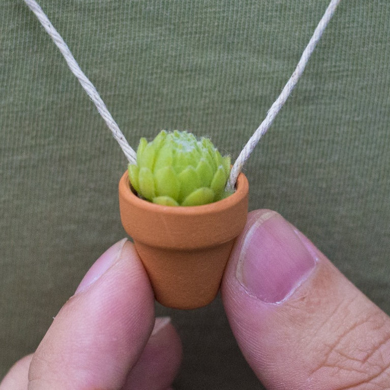 Plants Are Friends by PlantsAreFriendsCom on Etsy