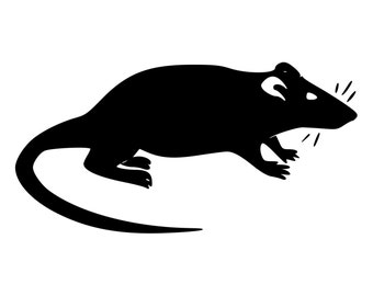 Rat car decal | Etsy