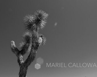 High Noon Photography Print