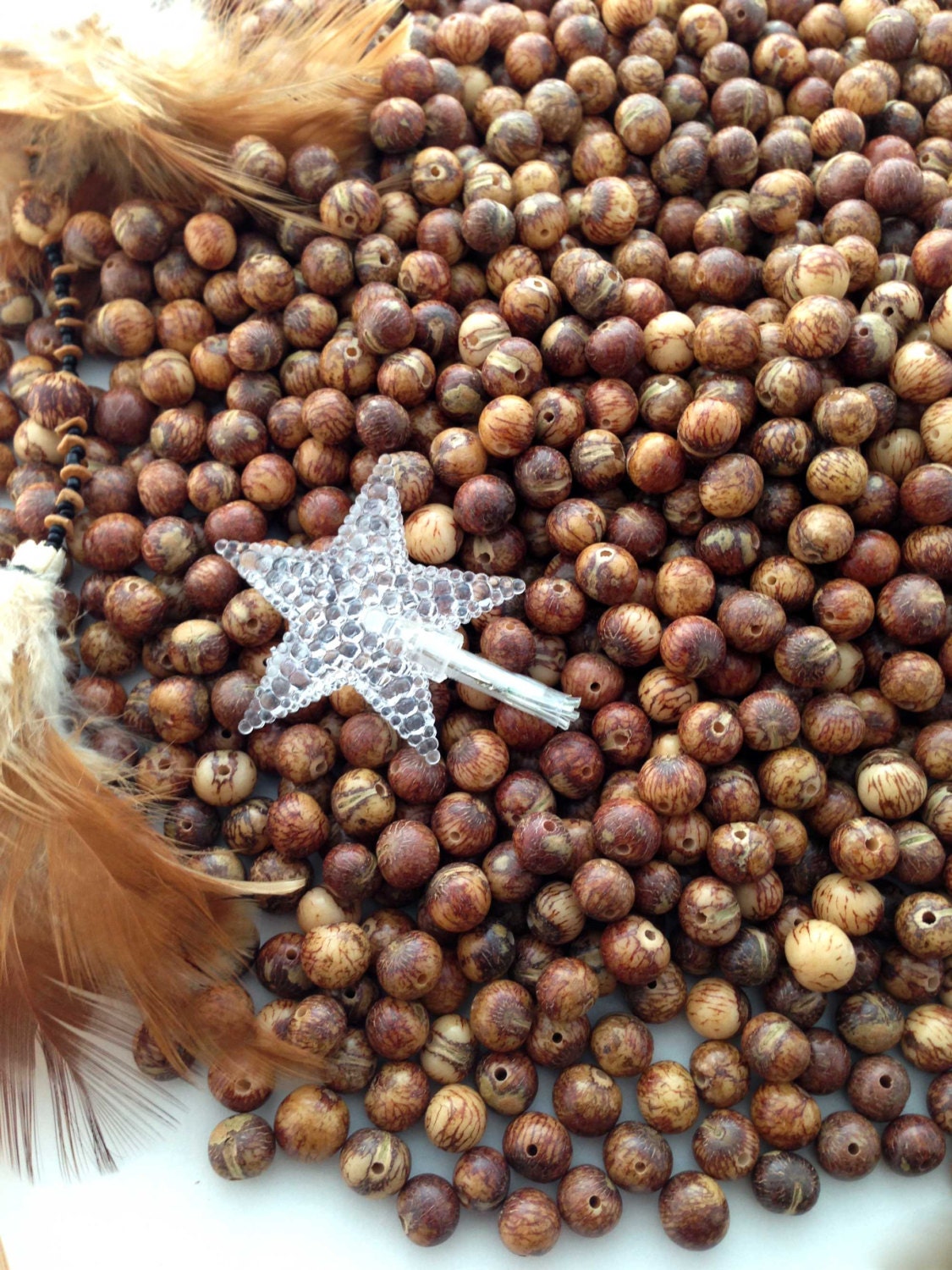 Natural Brown Extra Polished Acai Beads Real Acai Seeds