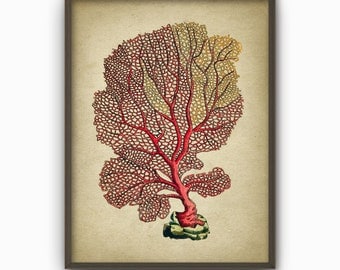 Sea fan wall art | Etsy