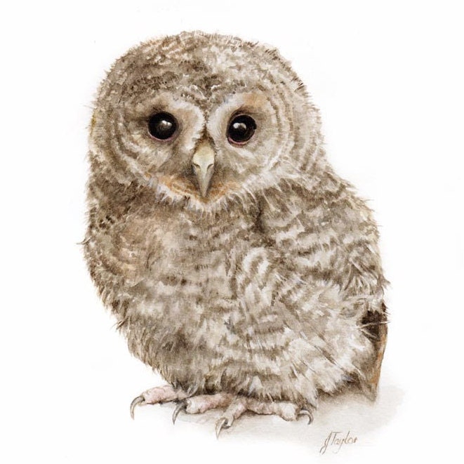 Jan Taylor's Wildlife Art by KeepersCottageArt on Etsy