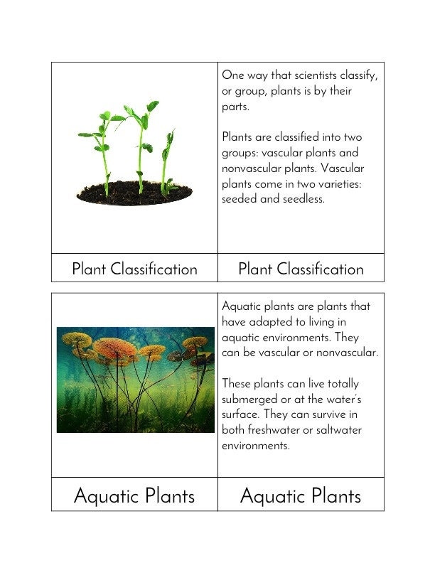 Types of Plants Montessori Three Part Cards
