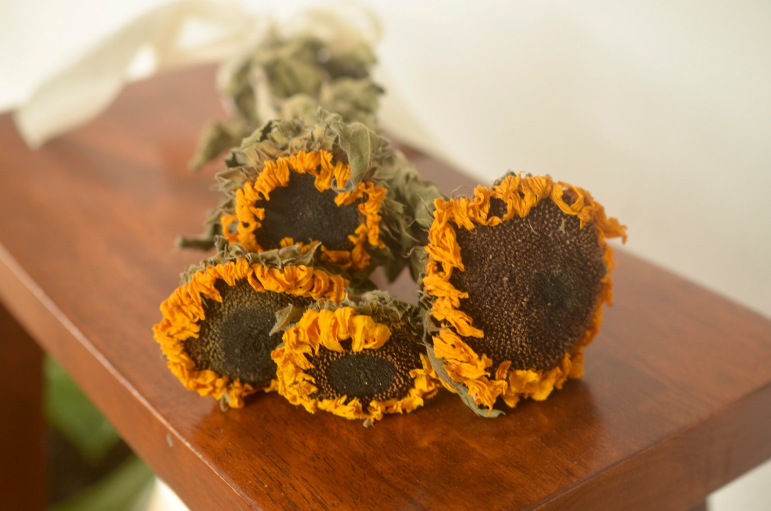 Dried Sunflowers dried sunflower sunflower dried sunflower