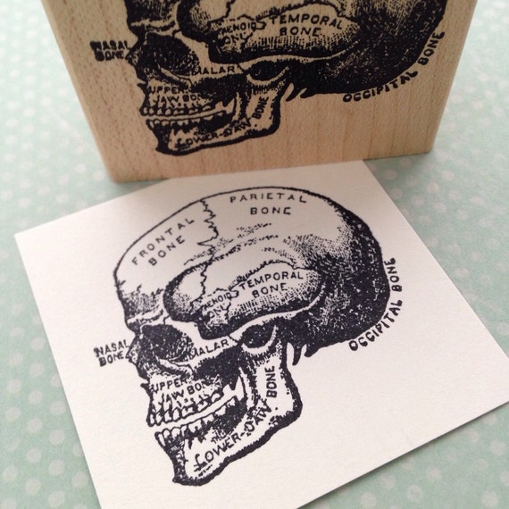 Labeled Skull Wood Mounted Rubber Stamp 5023