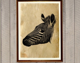 Unique zebra art related items | Etsy