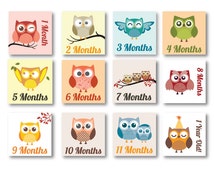 Popular items for baby milestone signs on Etsy