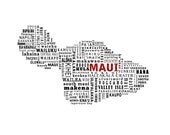 Merge is a Maui based design house. by mergehawaii on Etsy