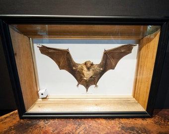 Vintage shadow box | Etsy