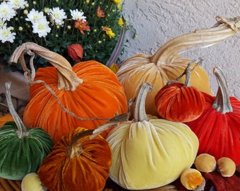 Small Velvet Pumpkin with Real Dried Pumpkin Stem by frenchtag