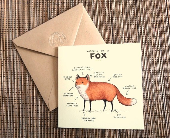 Anatomy Of A Fox Card