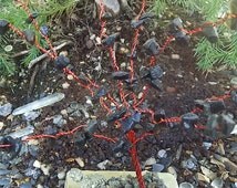 Unique icelandic spar related items | Etsy