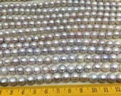 Freshwater Pearltahitianakoyawholesale by WenPearls on Etsy
