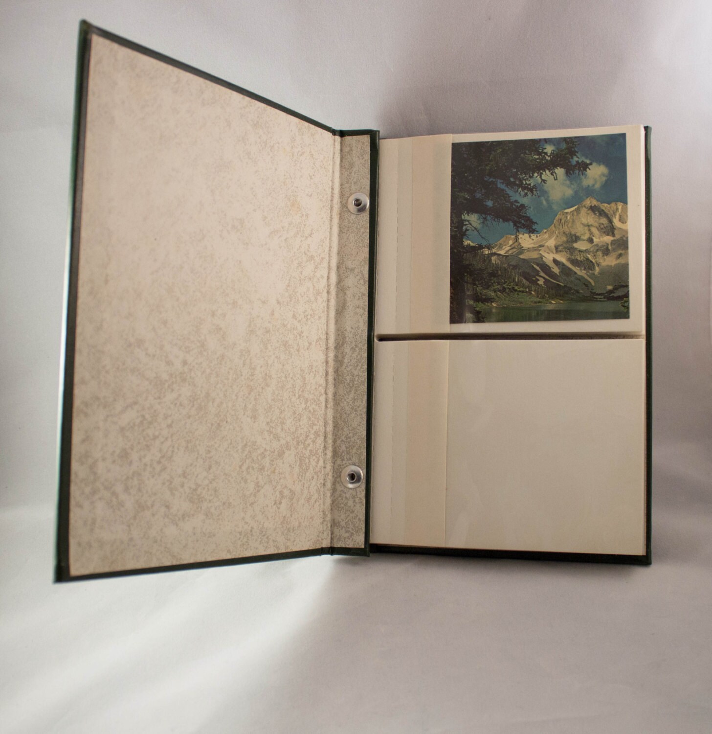 Vintage Green Photo album for 3.5″ x 3.5″ Photos – Haute Juice