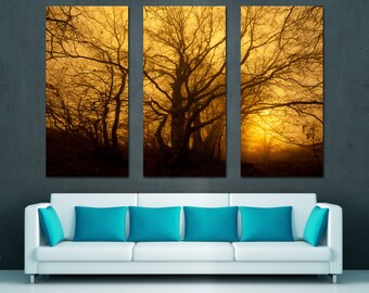Aspen Trees and Blue Skies. 3 Panel Split Triptych Canvas