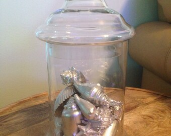 Seashell container | Etsy