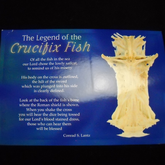 5-6 Crucifix fish skull sail cat fish bone Christian