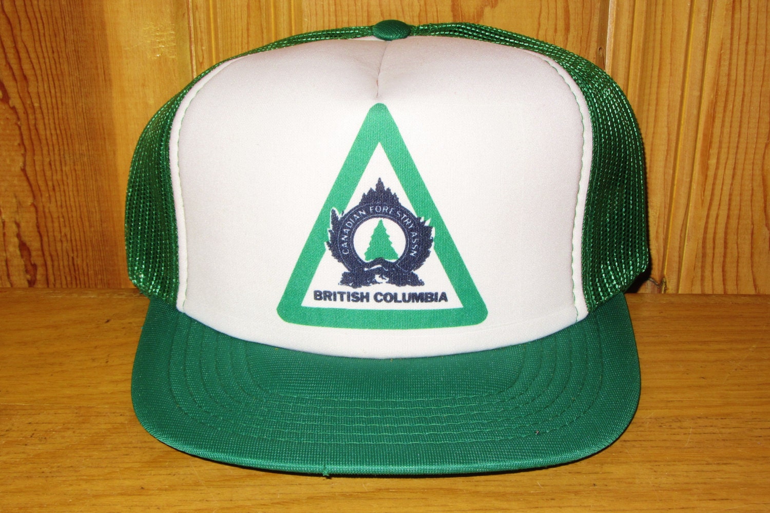 British Columbia Canadian Forestry Association Vintage 80s Green Mesh ...