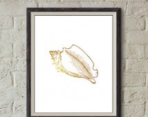 Popular items for seashell wall decor on Etsy