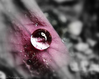 Raindrop Scrapbook Paper Rain Drop Scrapbooking Paper Rain