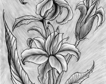 Lily pencil drawing | Etsy